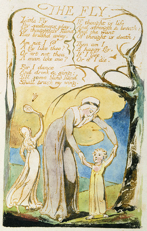[POEM] The Fly by William Blake : r/Poetry